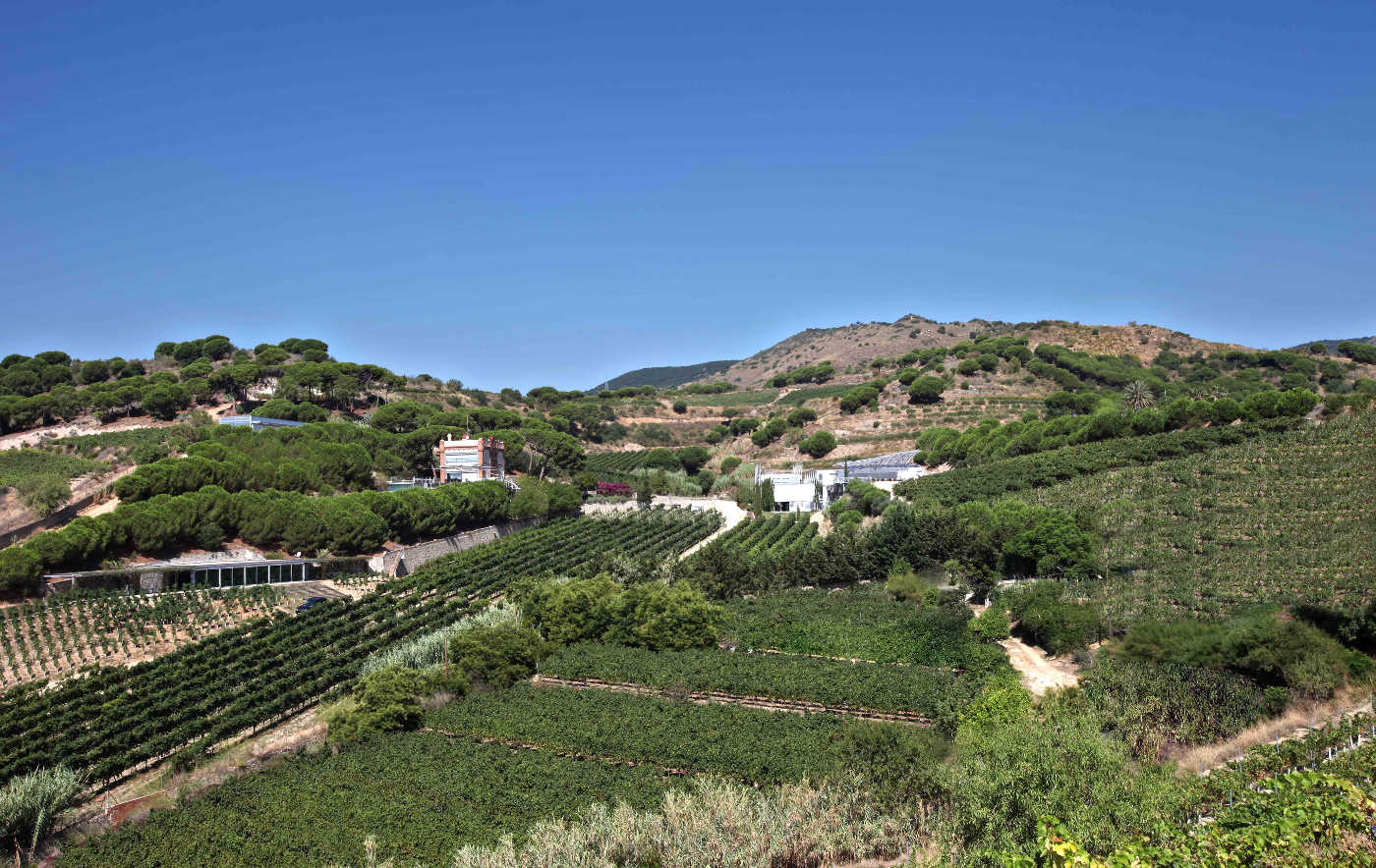 La Bodega Alta Alella reconocida con el sello ‘Paraje Calificado ...