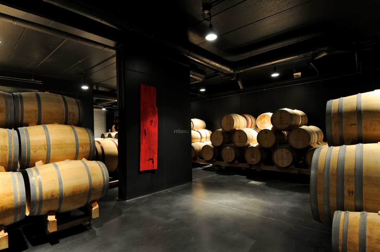 Bodega Contador, D.O.Ca Rioja. - SolWines