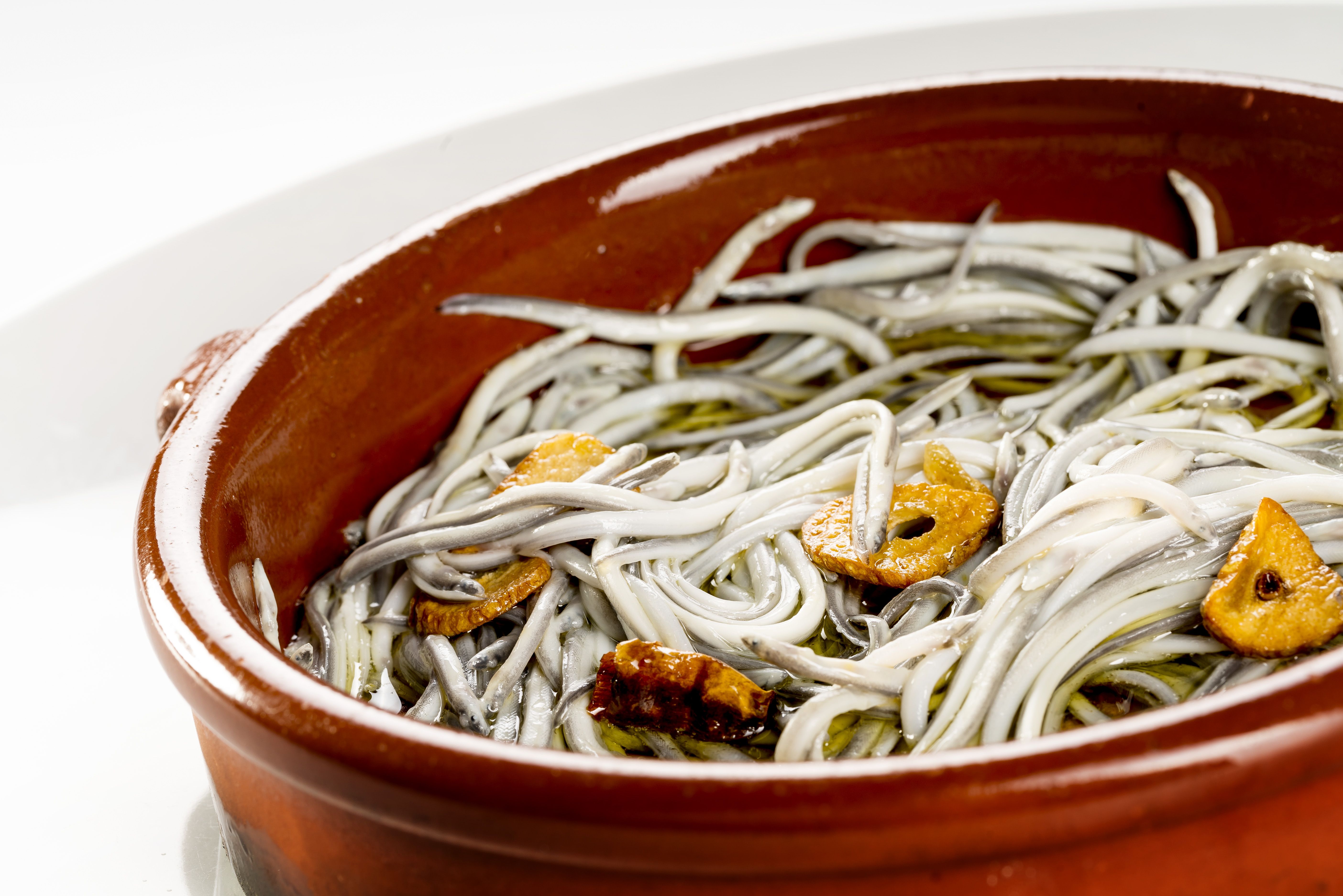 Comienza la temporada de angulas. - SolWines