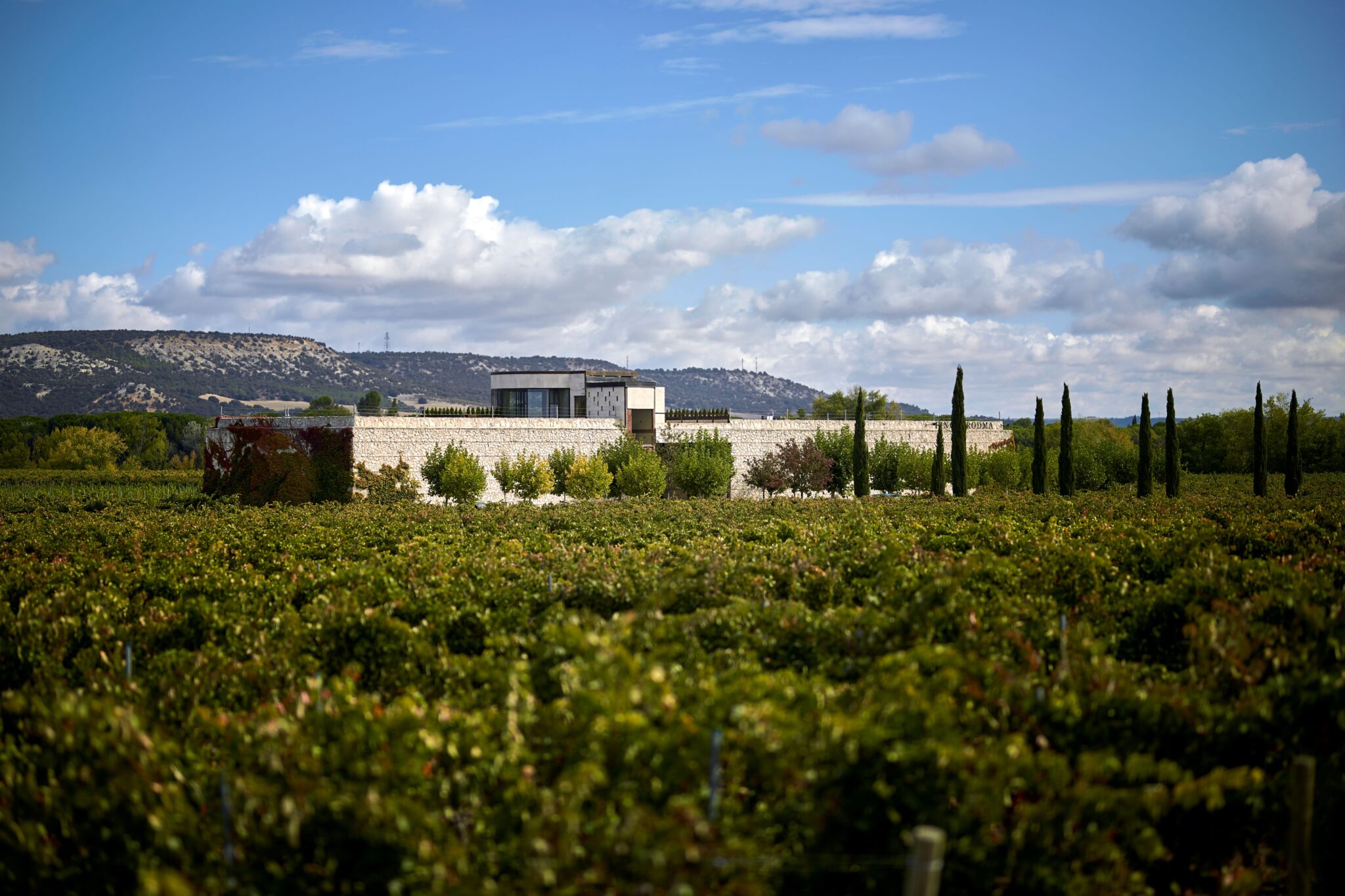 FINCA RODMA PRESENTA LA AÑADA 2020 DE SU VINO MÁS JOVEN - SolWines