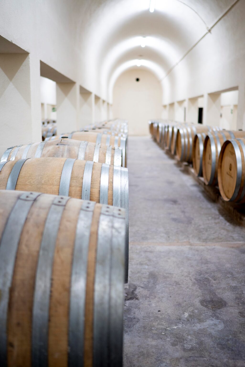 BODEGA MARQUÉS DE RISCAL (RUEDA), D.O. RUEDA - SolWines